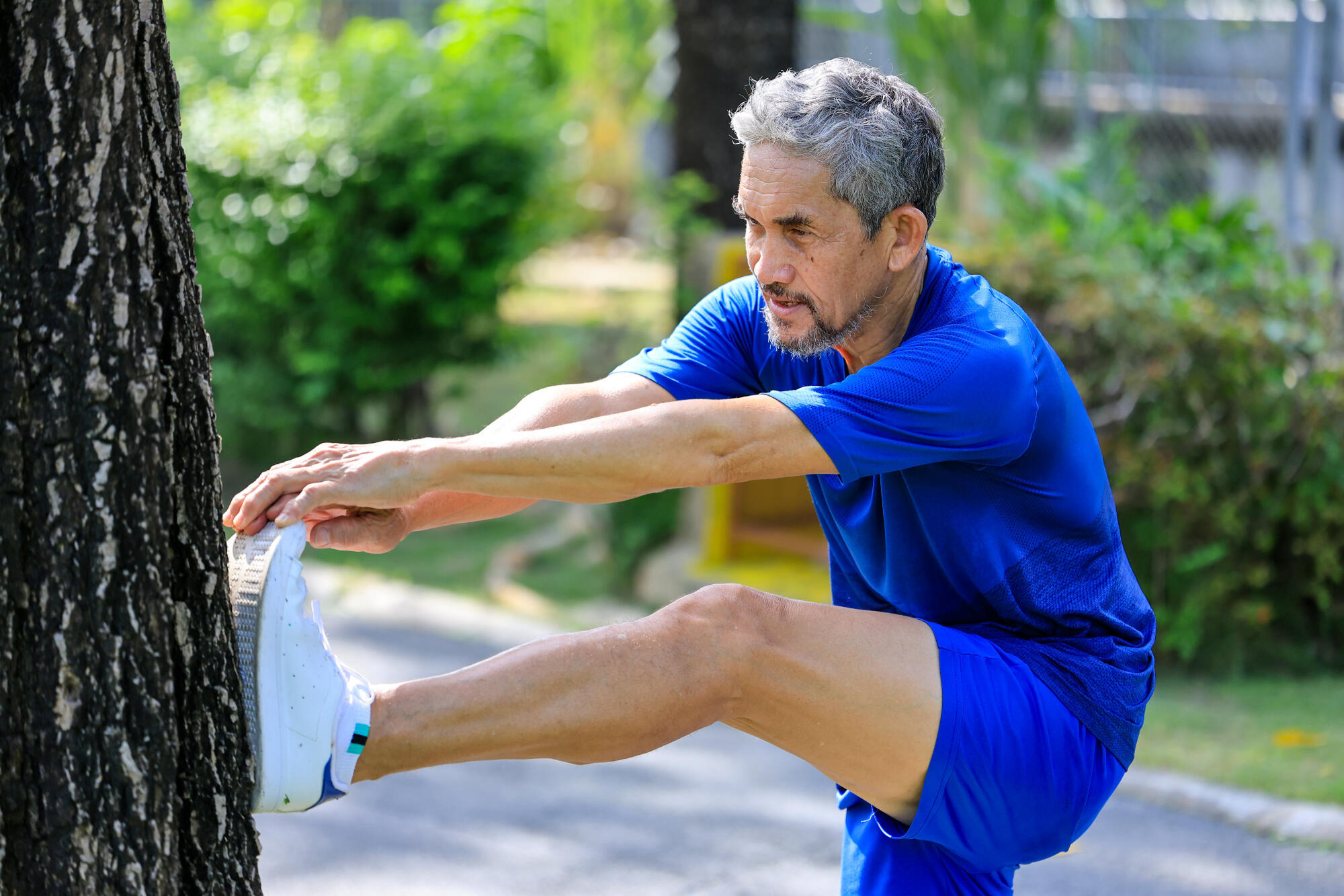 Wellness Activities for Adults in Trinity, Florida